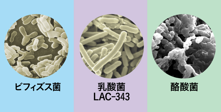 OurAge - 集英社の雑誌MyAgeのオンラインメディア