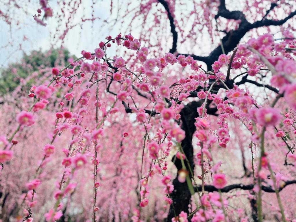 40代・50代女性におすすめ！ OurAge公式ブロガー「おでかけ女史組PLUS」が行った最新グルメスポット